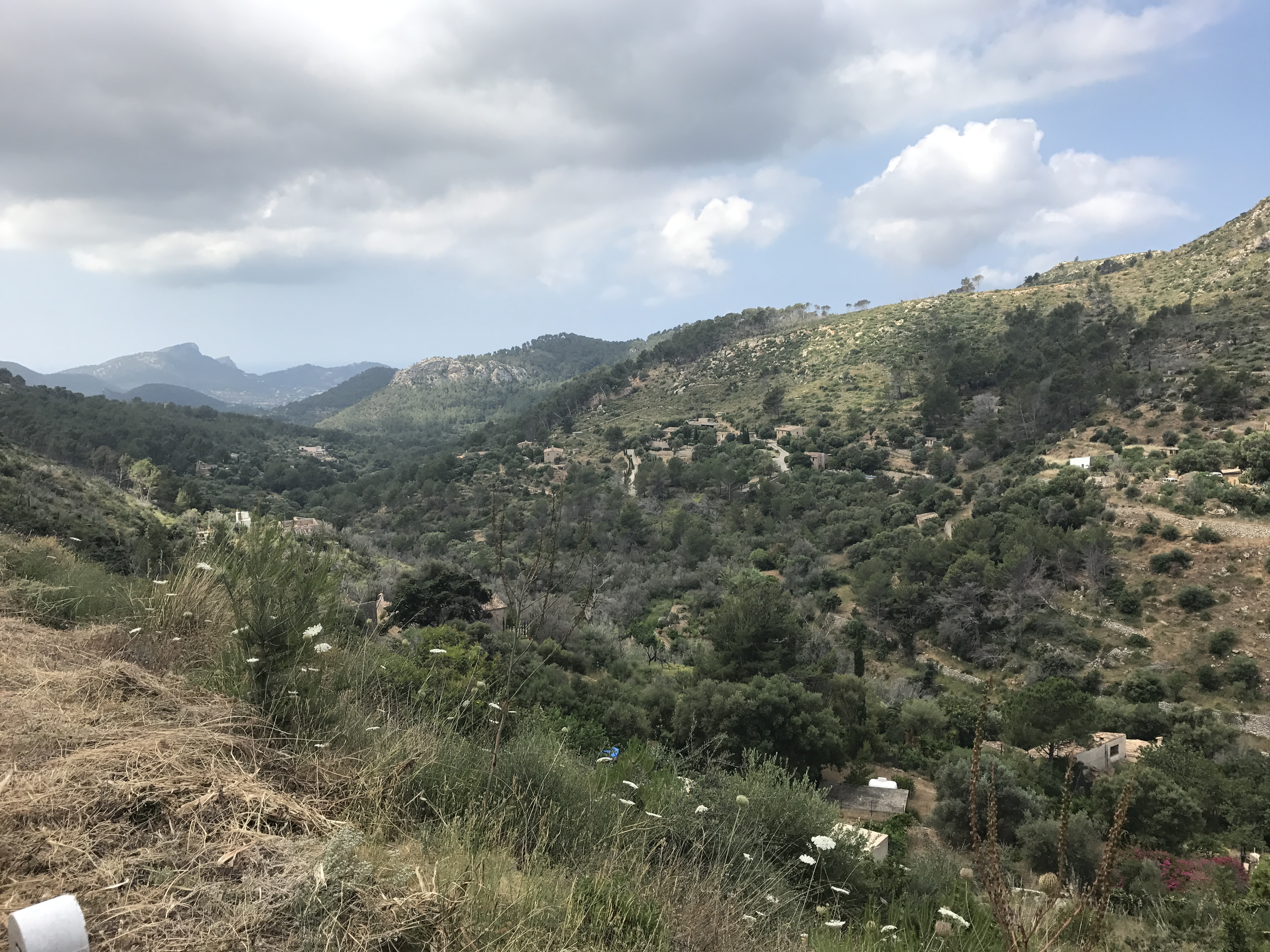 Spanish Island Hopping: Mallorca | steerintotheskid